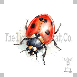 Watercolour Ladybird Clip Art 12 High Quality Jpgs - Digital Planner ...