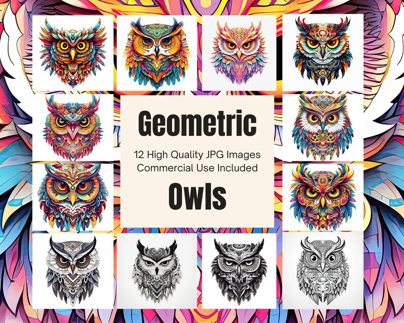 Geometric Owls Clip Art 12 High Quality Jpgs - Digital Planner ...