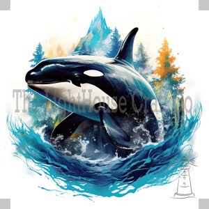 Orca Killer Whale Stylised Clip Art 12 High Quality Jpgs - Digital ...