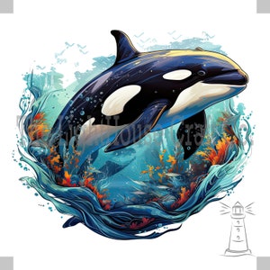 Orca Killer Whale Stylised Clip Art 12 High Quality Jpgs - Digital ...