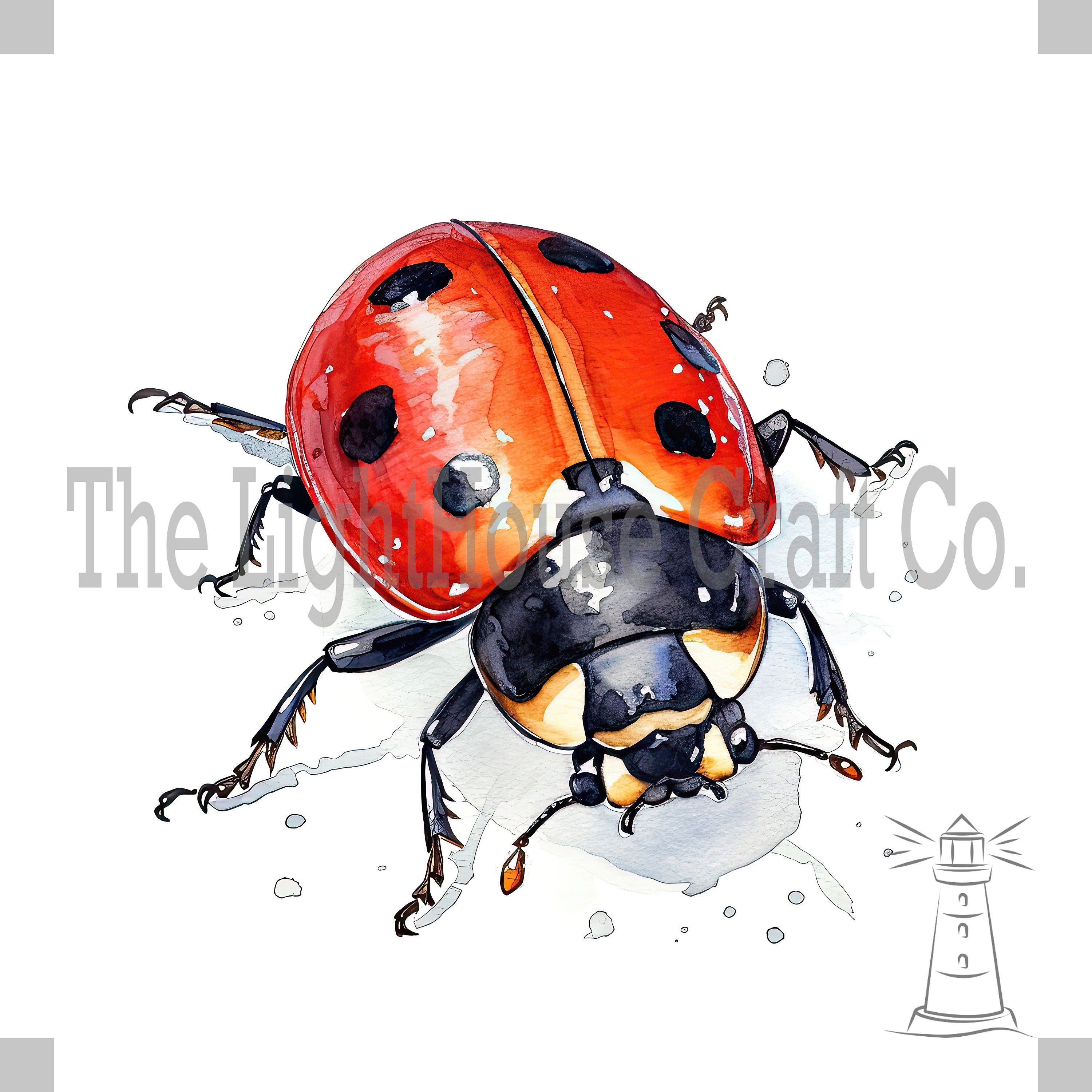 Watercolour Ladybird Clip Art 12 High Quality Jpgs - Digital Planner ...