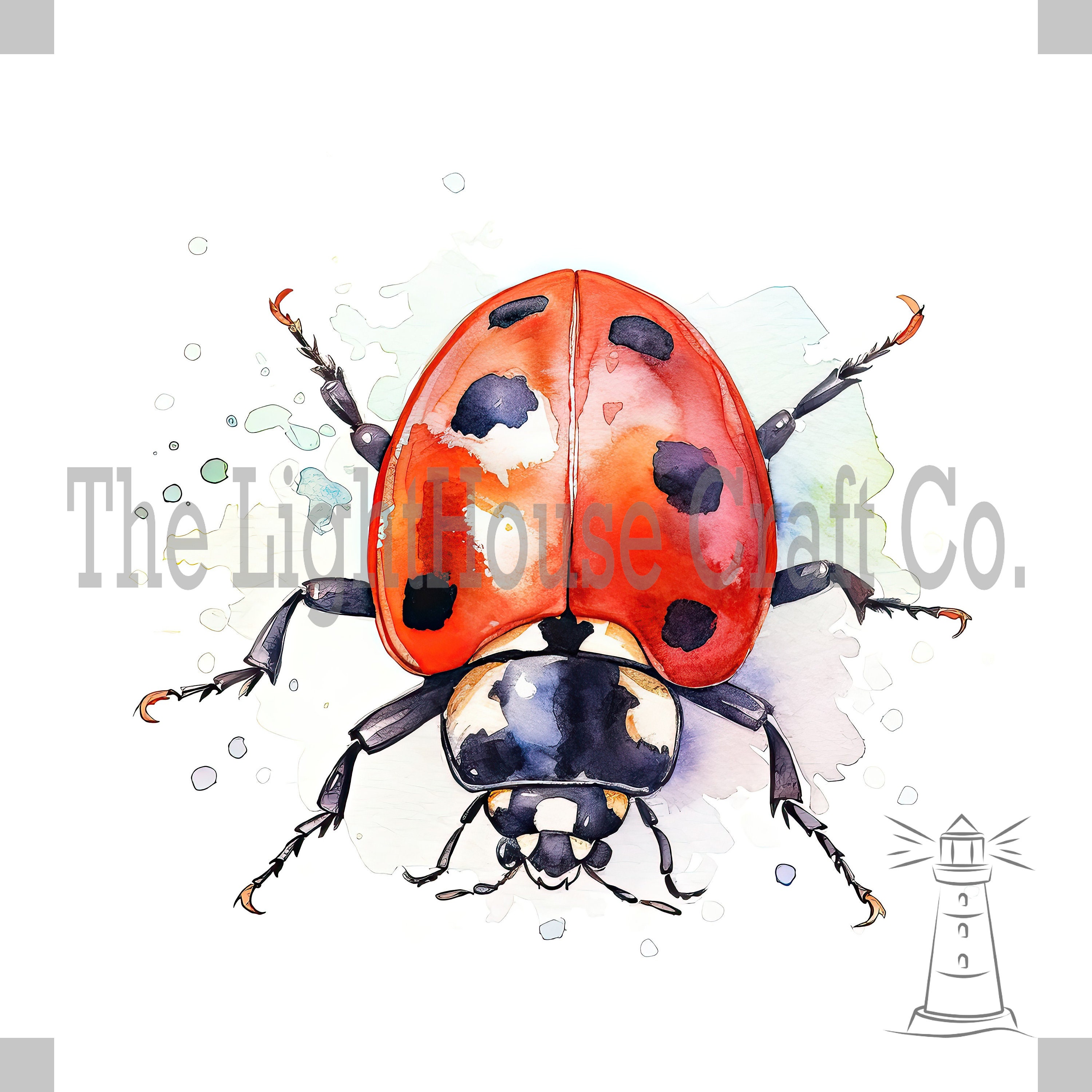 Watercolour Ladybird Clip Art 12 High Quality Jpgs - Digital Planner ...