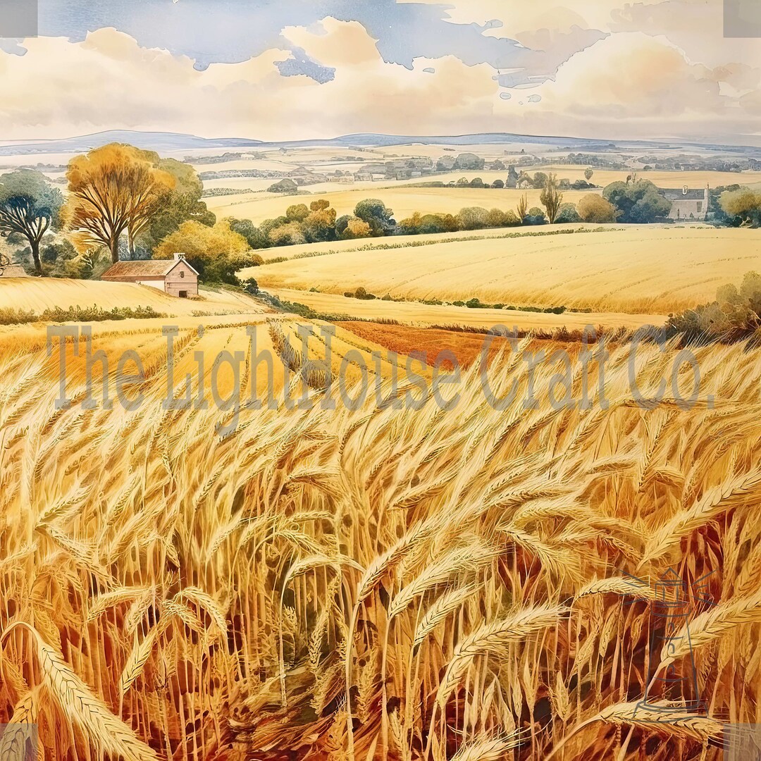 Buy Fields of Gold Barley Clip Art 12 High Quality Jpgs - Digital ...