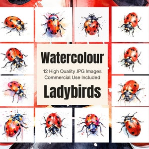Watercolour Ladybird Clip Art 12 High Quality Jpgs - Digital Planner ...