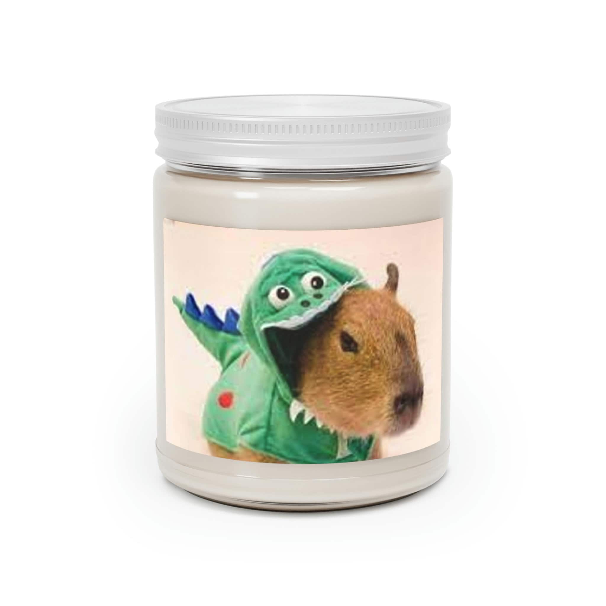 Capybara Meme Cute Children Child Teens Funny Scented Candles, 9oz - Etsy