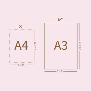 Luxury MARRIAGE CERTIFICATE, Nikkah CONTRACT, Nikkah Nama, Arabic ...
