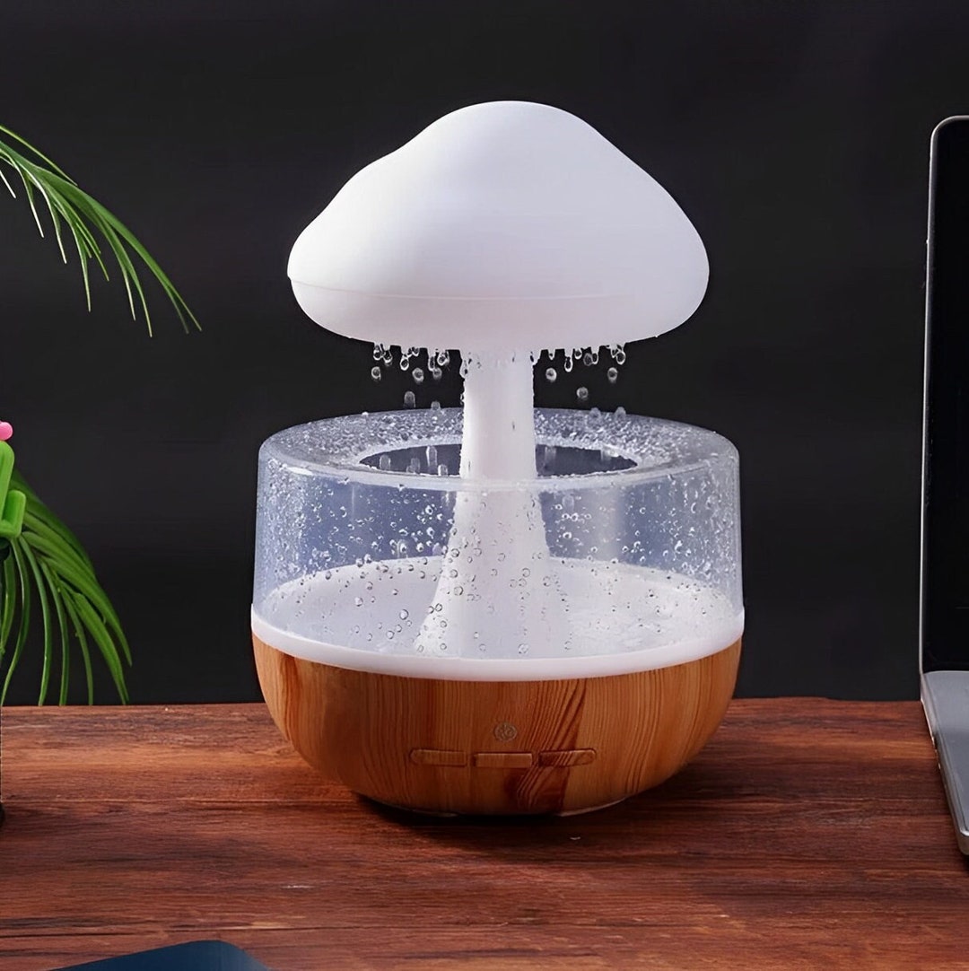 Raining Cloud Humidifier - Etsy