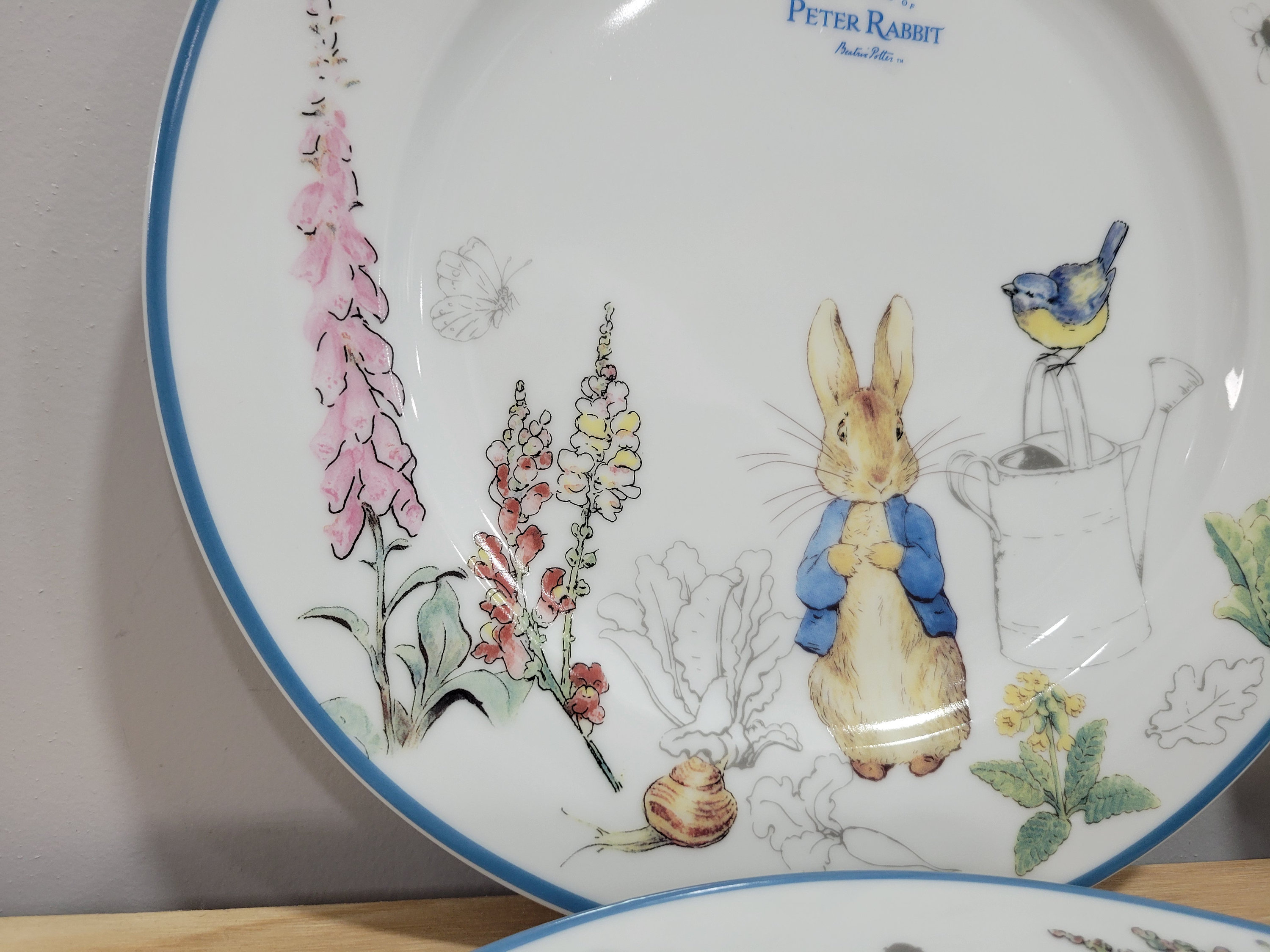 ZRIKE Peter Rabbit Classic 10" Dinner Plates - Set of 4 - Etsy