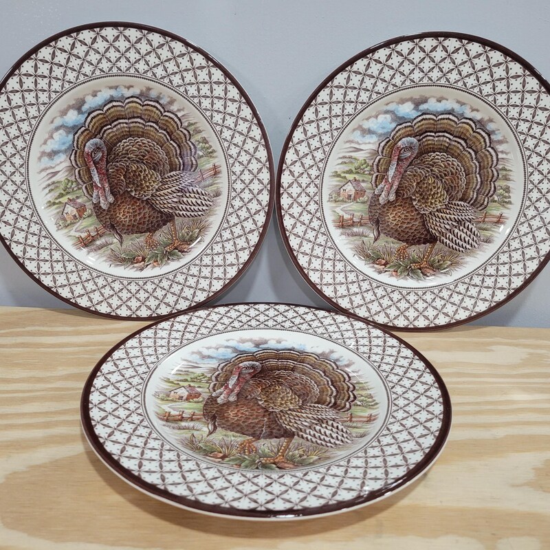 Royal Stafford Turkey Dinner Plates - Etsy