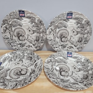 Royal Stafford Turkey Dinner Plates - Etsy