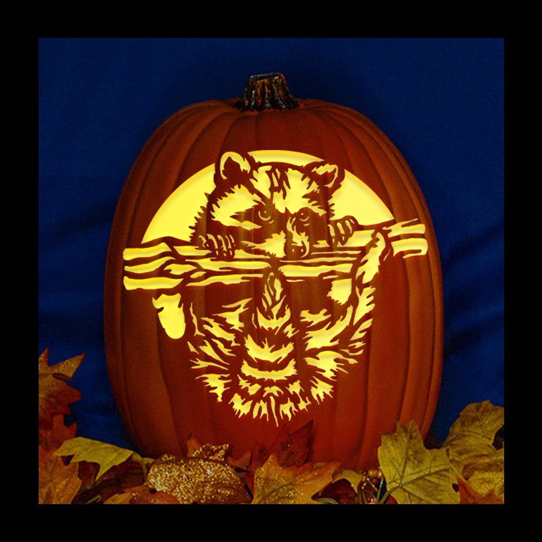 Rocky Racoon - Carved Foam Pumpkin - Etsy