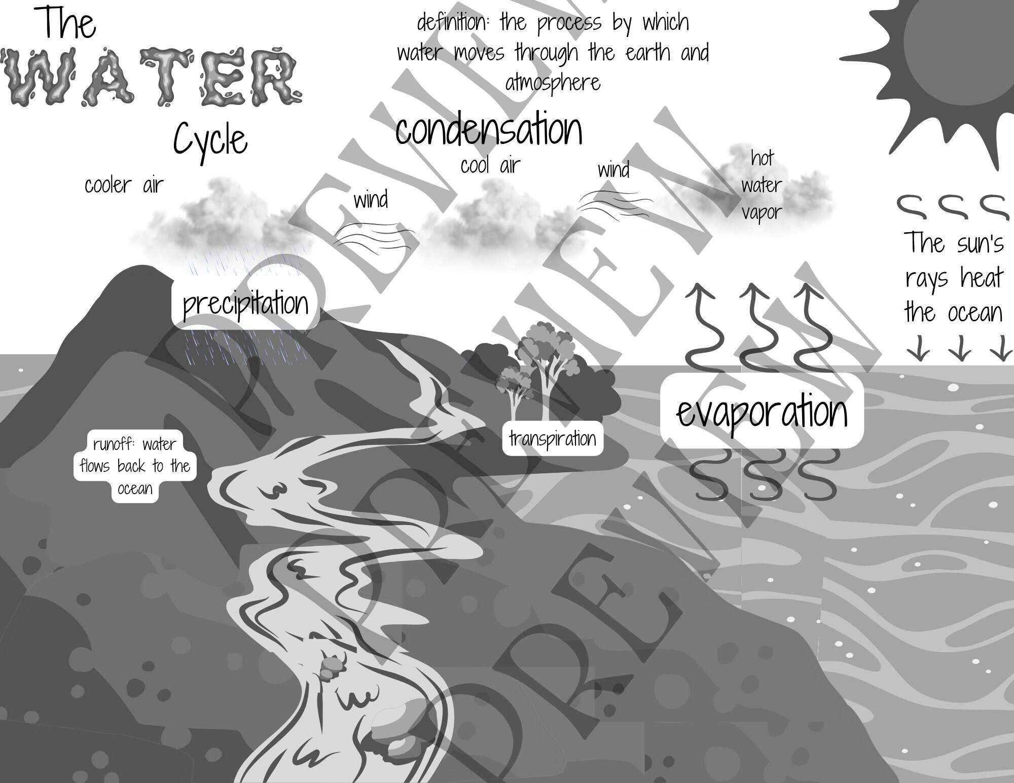 Digital - the Water Cycle | Notebook | Anchor Poster | Anchor Chart ...