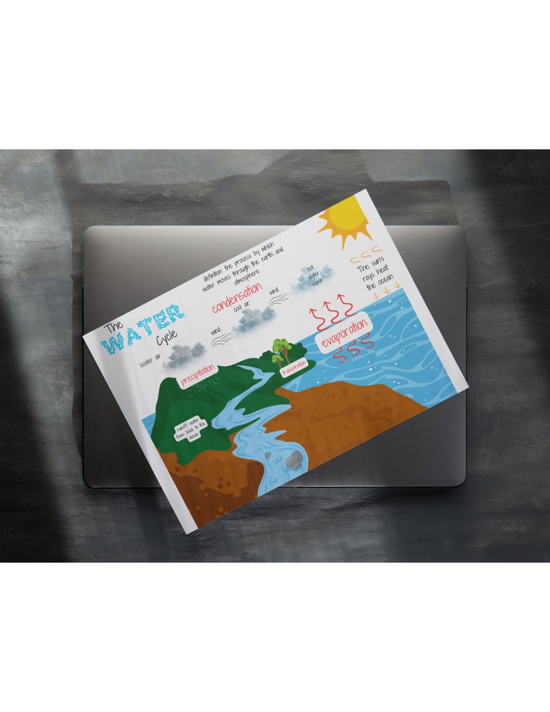 Digital - the Water Cycle | Notebook | Anchor Poster | Anchor Chart ...