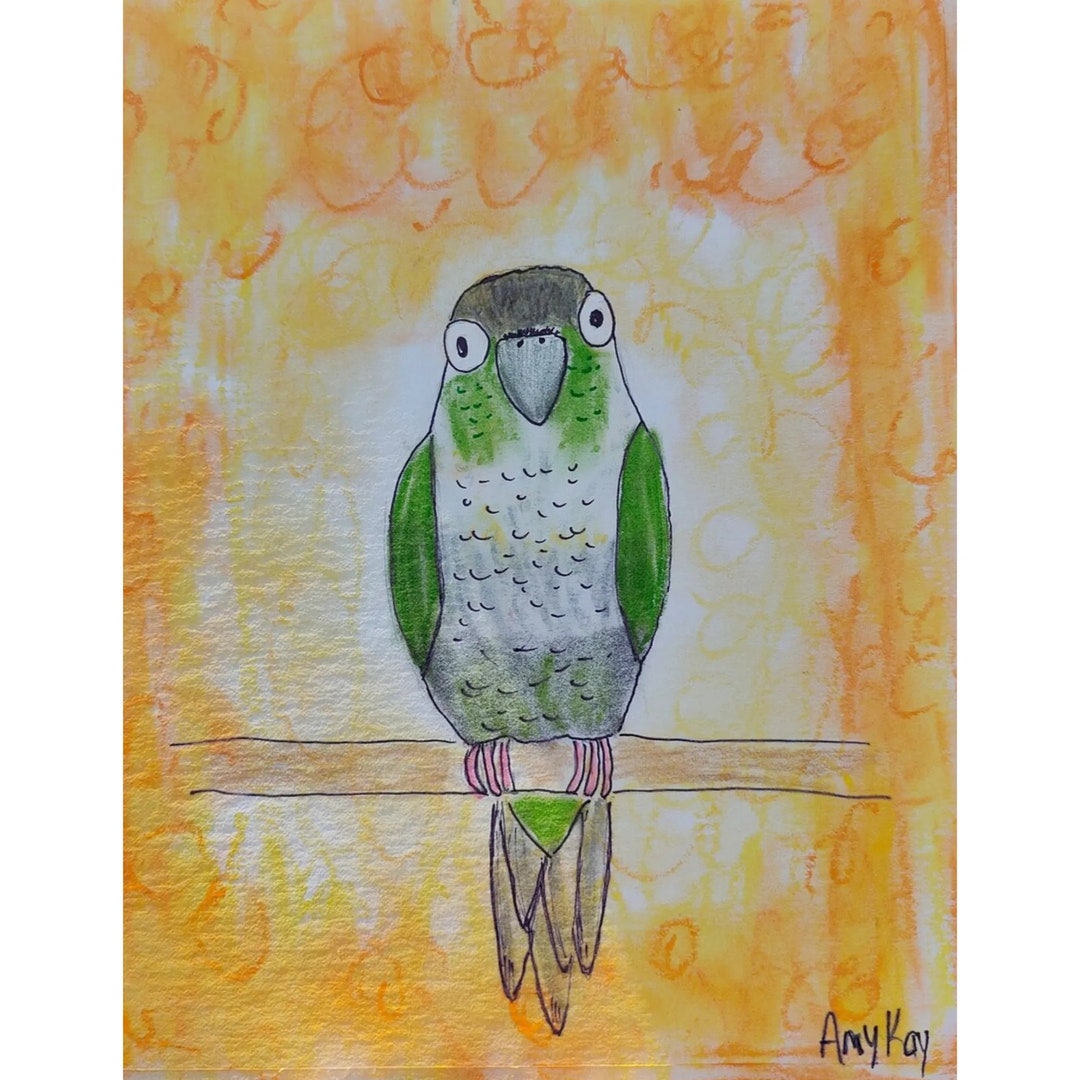 Green Cheek Conure 5x7 Art Print - Etsy
