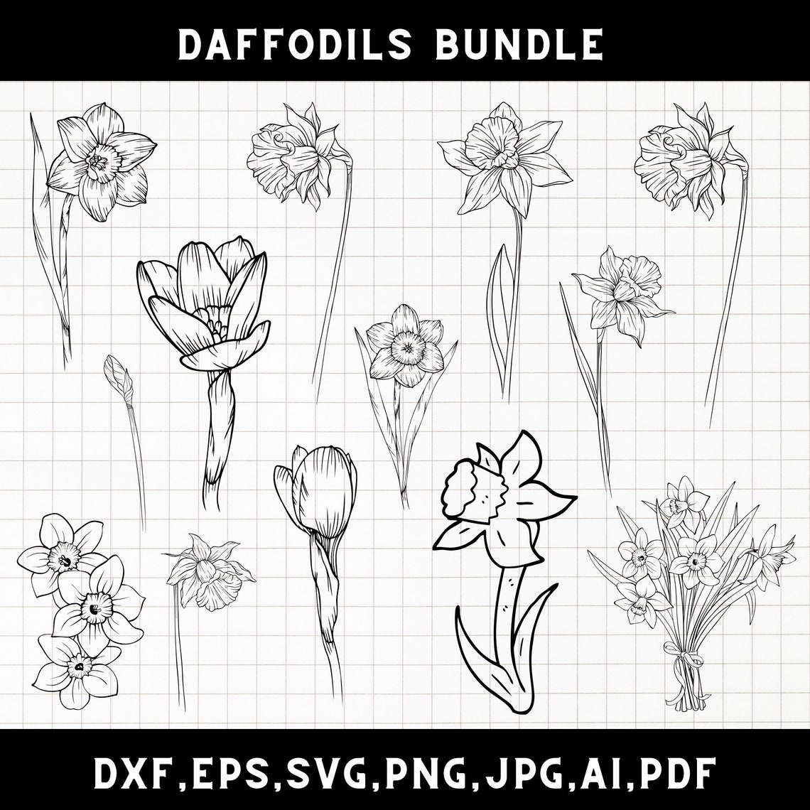Daffodils Svg, Daffodil Flowers Svg, Narcissus Flower Bouquet Svg ...