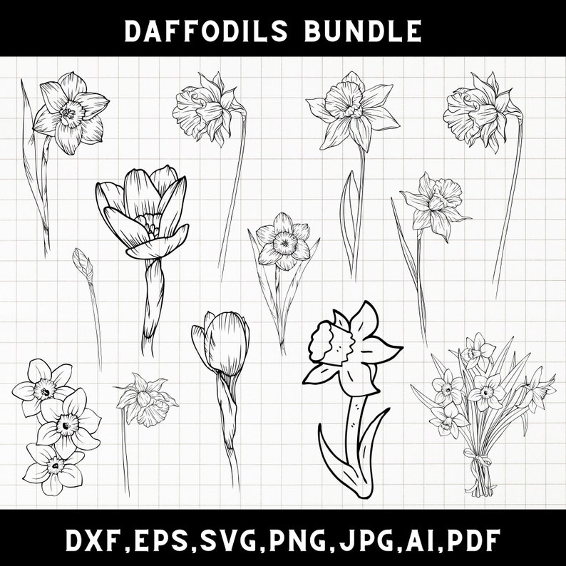 Daffodils Svg, Daffodil Flowers Svg, Narcissus Flower Bouquet Svg ...