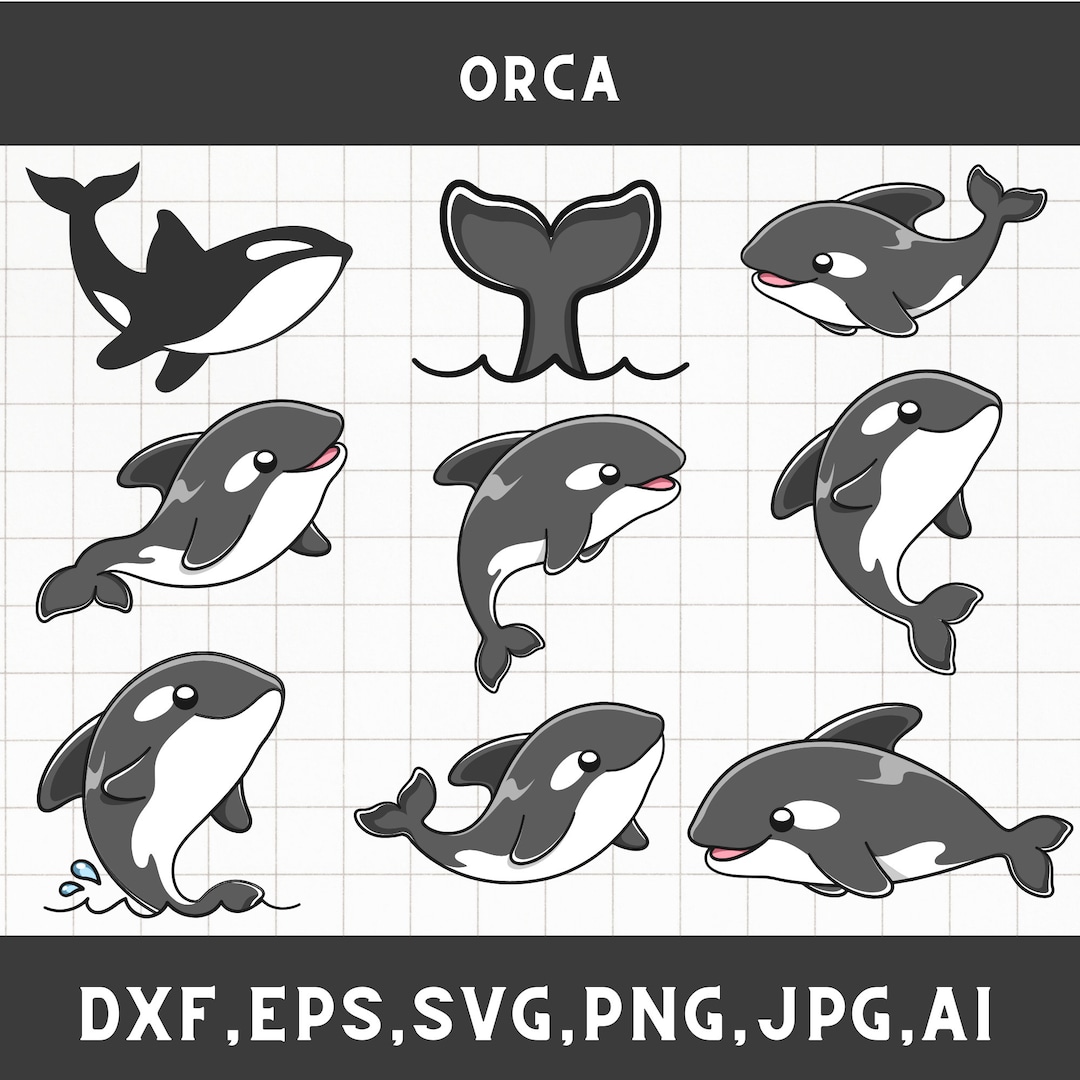 Orca Svg, Orca Clipart, Baby Orca Svg, Orca Svg Files for Cricut, Orca ...