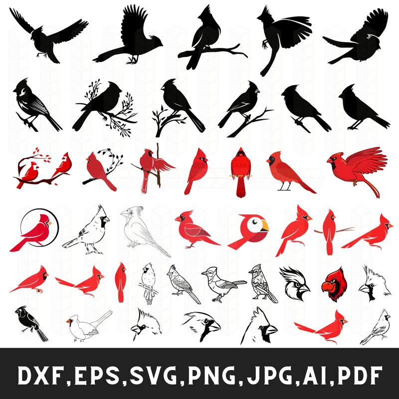 Cardinal Svg - Etsy