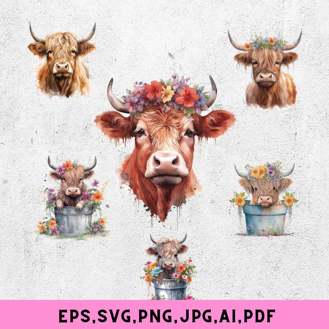 Floral Highland Cow Svg Highland Cow Png Highland Cow - Etsy