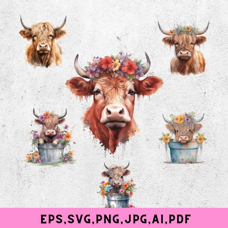 Floral Highland Cow Svg Highland Cow Png Highland Cow - Etsy