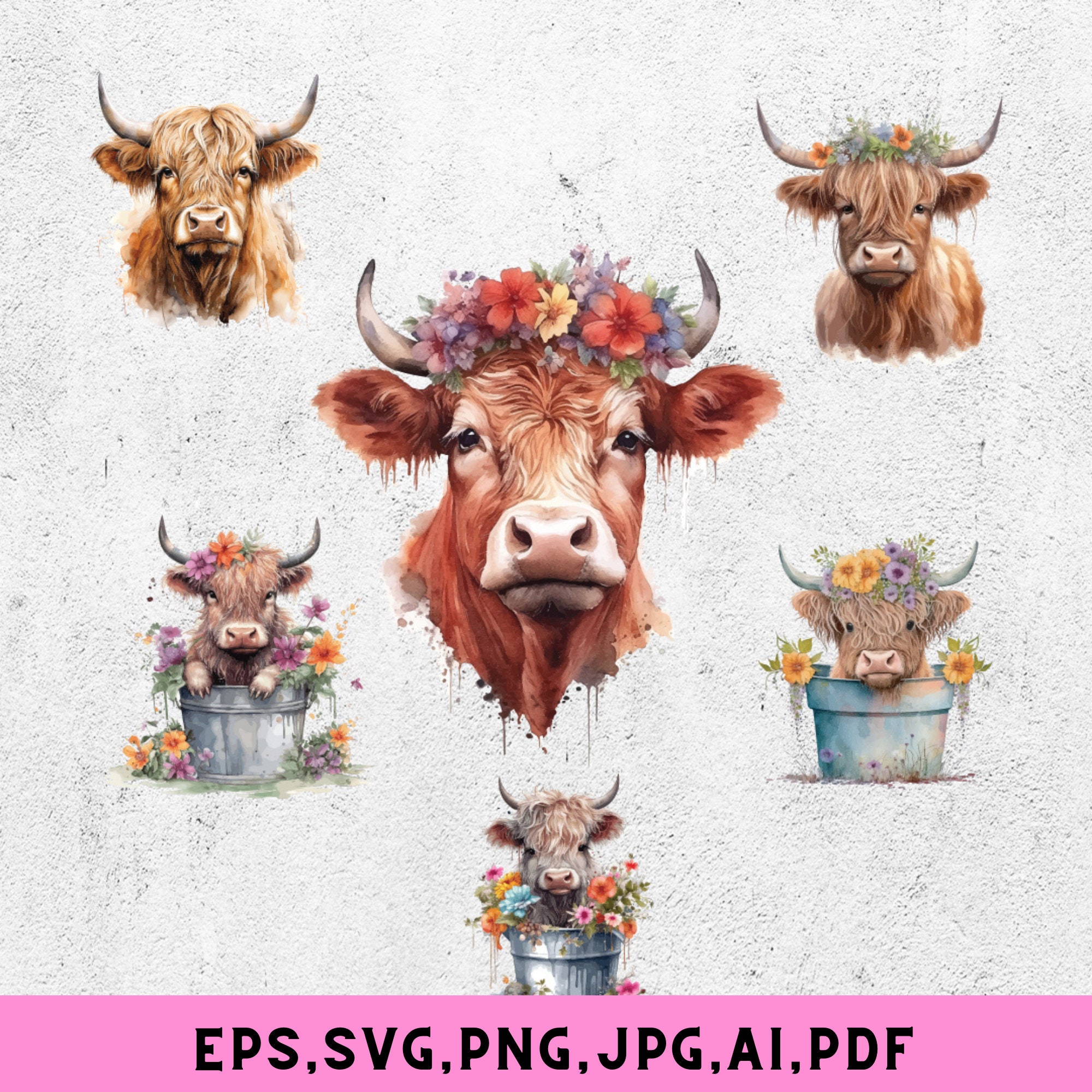 Floral Highland Cow Svg Highland Cow Png Highland Cow - Etsy
