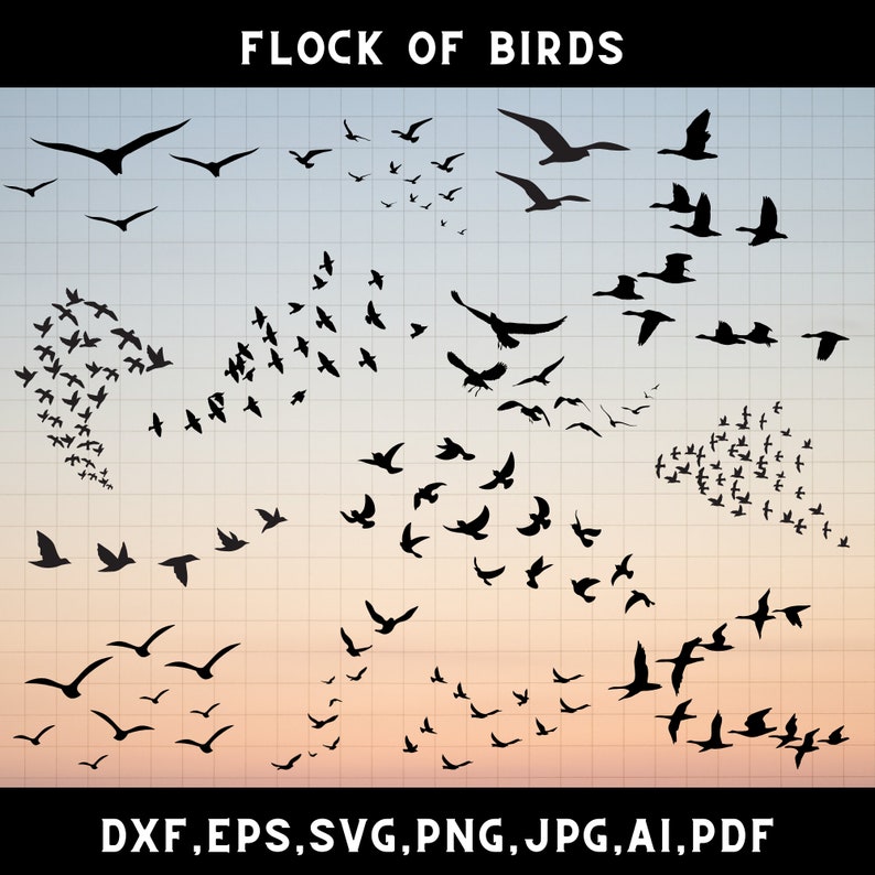 Flock of Birds Svg, Flying Birds Svg Bundle, Birds Silhouette, Birds ...