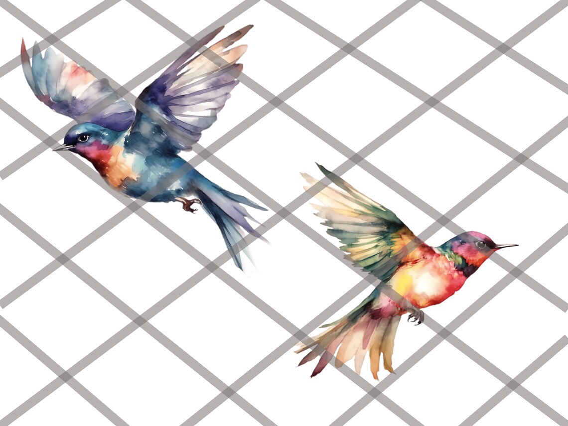 20 Watercolor Birds Clipart, Clipart Pack, Digital Art Collection ...