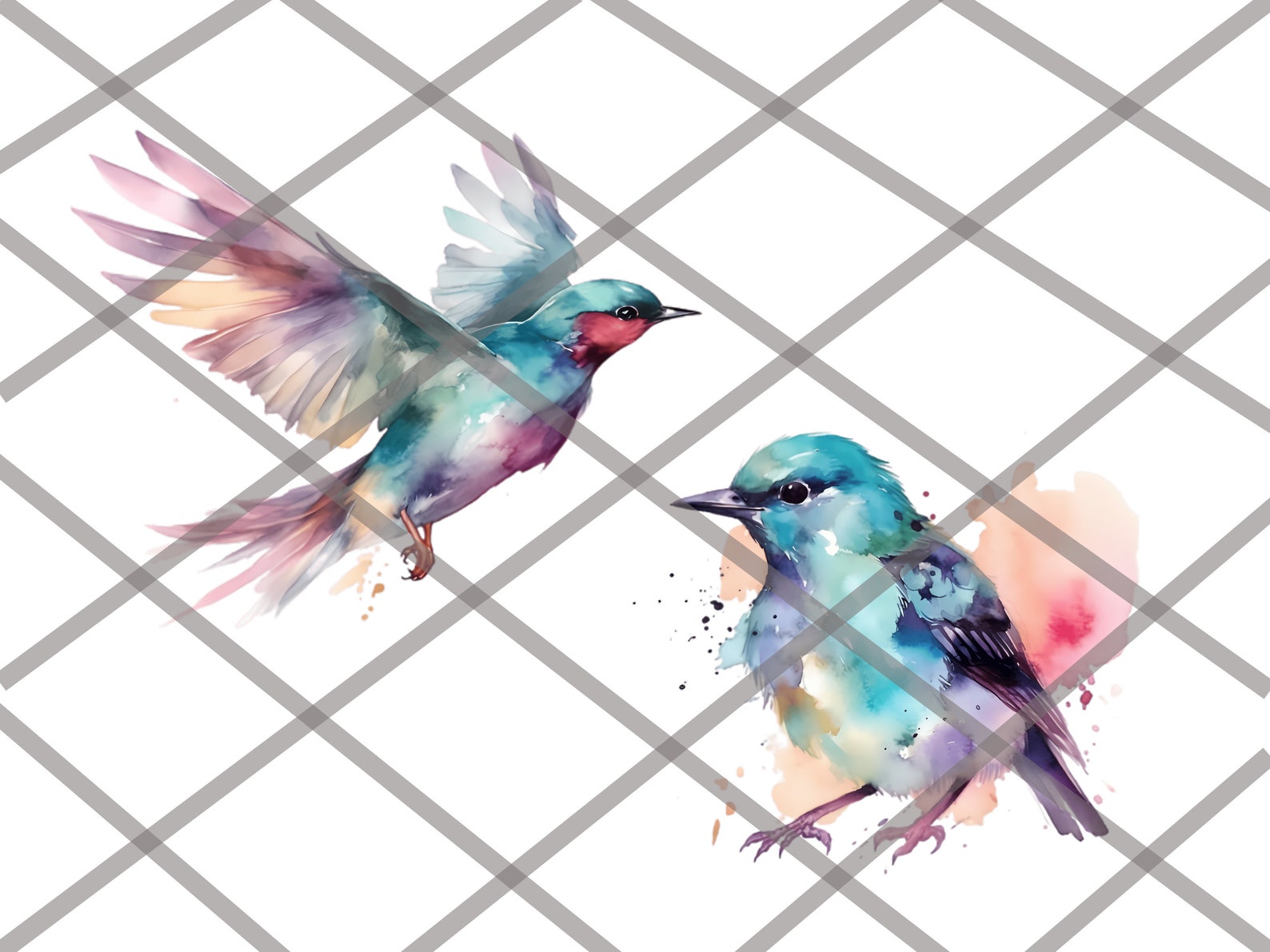 20 Watercolor Birds Clipart, Clipart Pack, Digital Art Collection ...