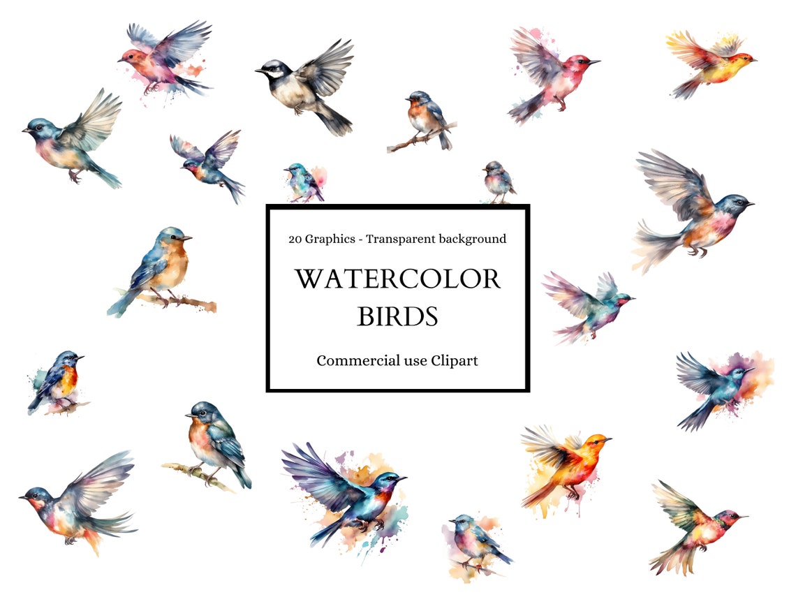 20 Watercolor Birds Clipart, Clipart Pack, Digital Art Collection ...