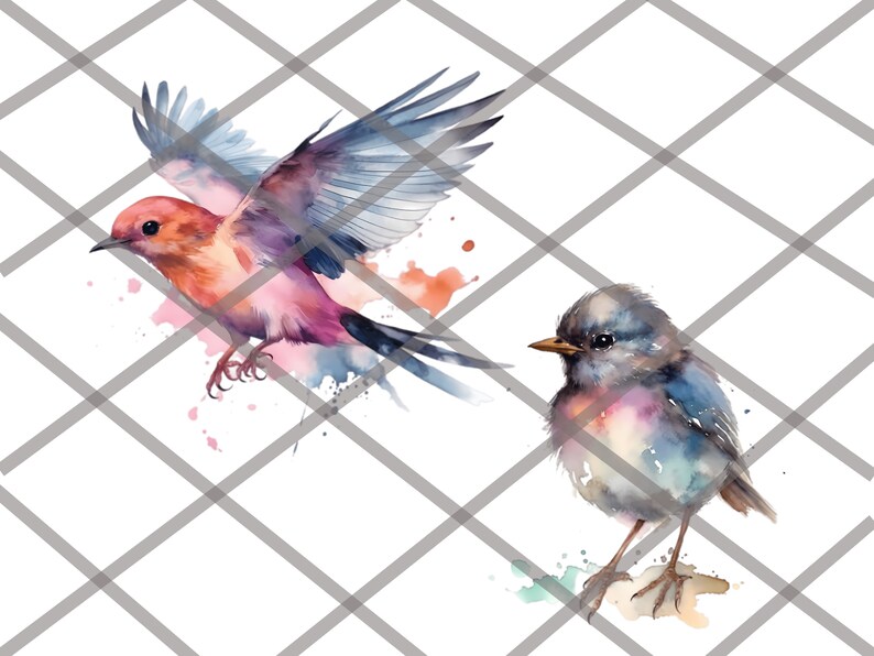 20 Watercolor Birds Clipart, Clipart Pack, Digital Art Collection ...