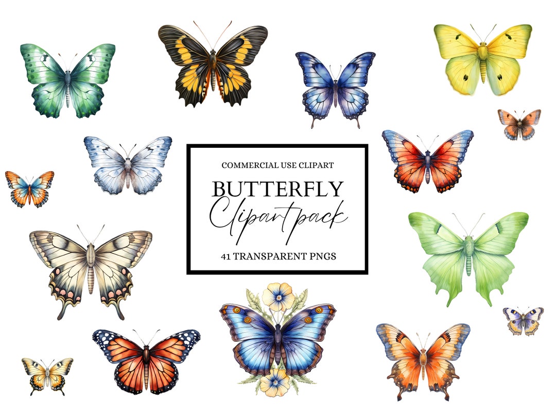 40 Watercolor Butterfly Clipart, Clipart Pack, Digital Art Collection ...