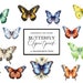 40 Watercolor Butterfly Clipart, Clipart Pack, Digital Art Collection ...