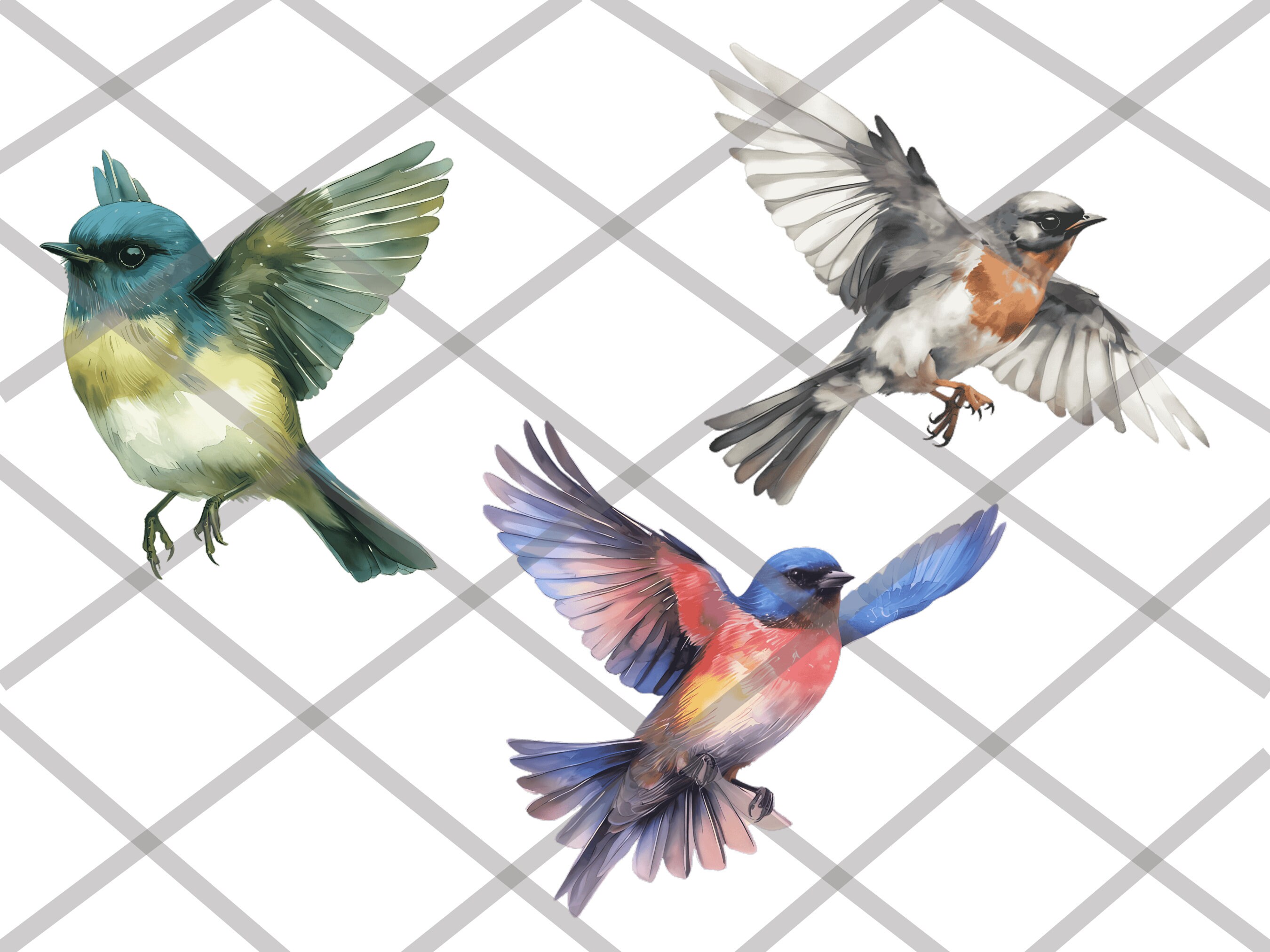 25 Watercolor Birds Clipart, Clipart Pack, Digital Art Collection ...