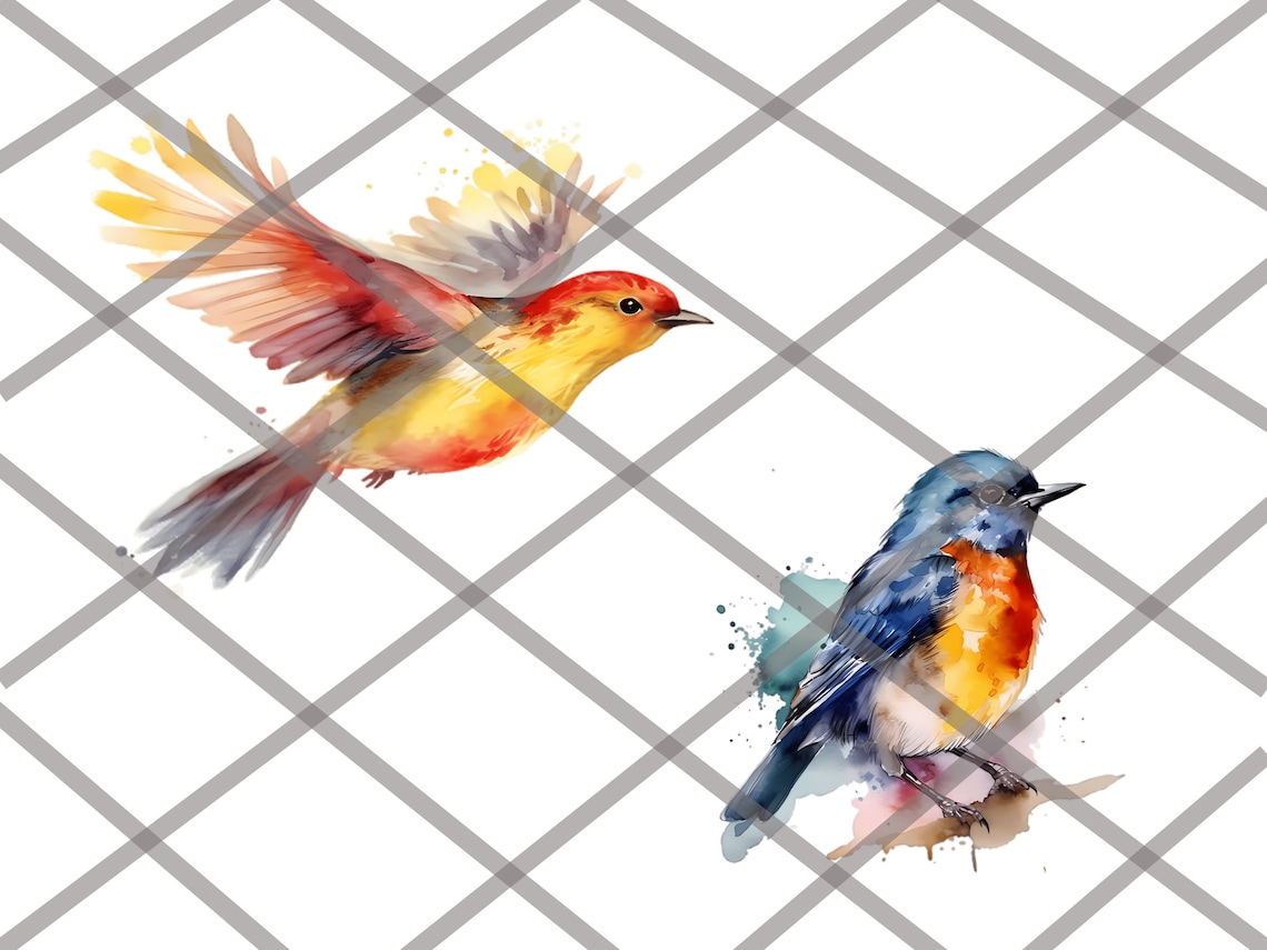 20 Watercolor Birds Clipart, Clipart Pack, Digital Art Collection ...