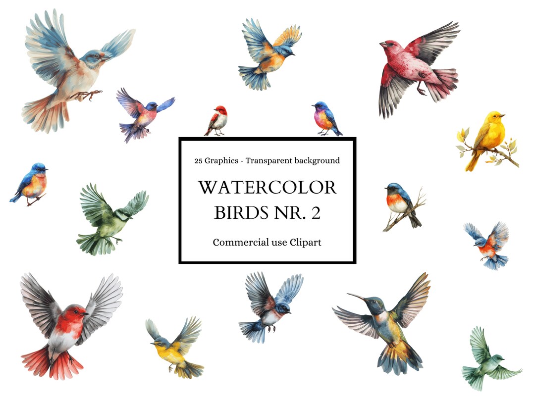 25 Watercolor Birds Clipart, Clipart Pack, Digital Art Collection ...