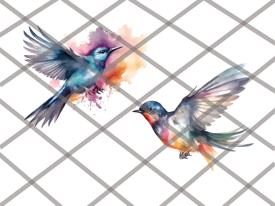 20 Watercolor Birds Clipart, Clipart Pack, Digital Art Collection ...