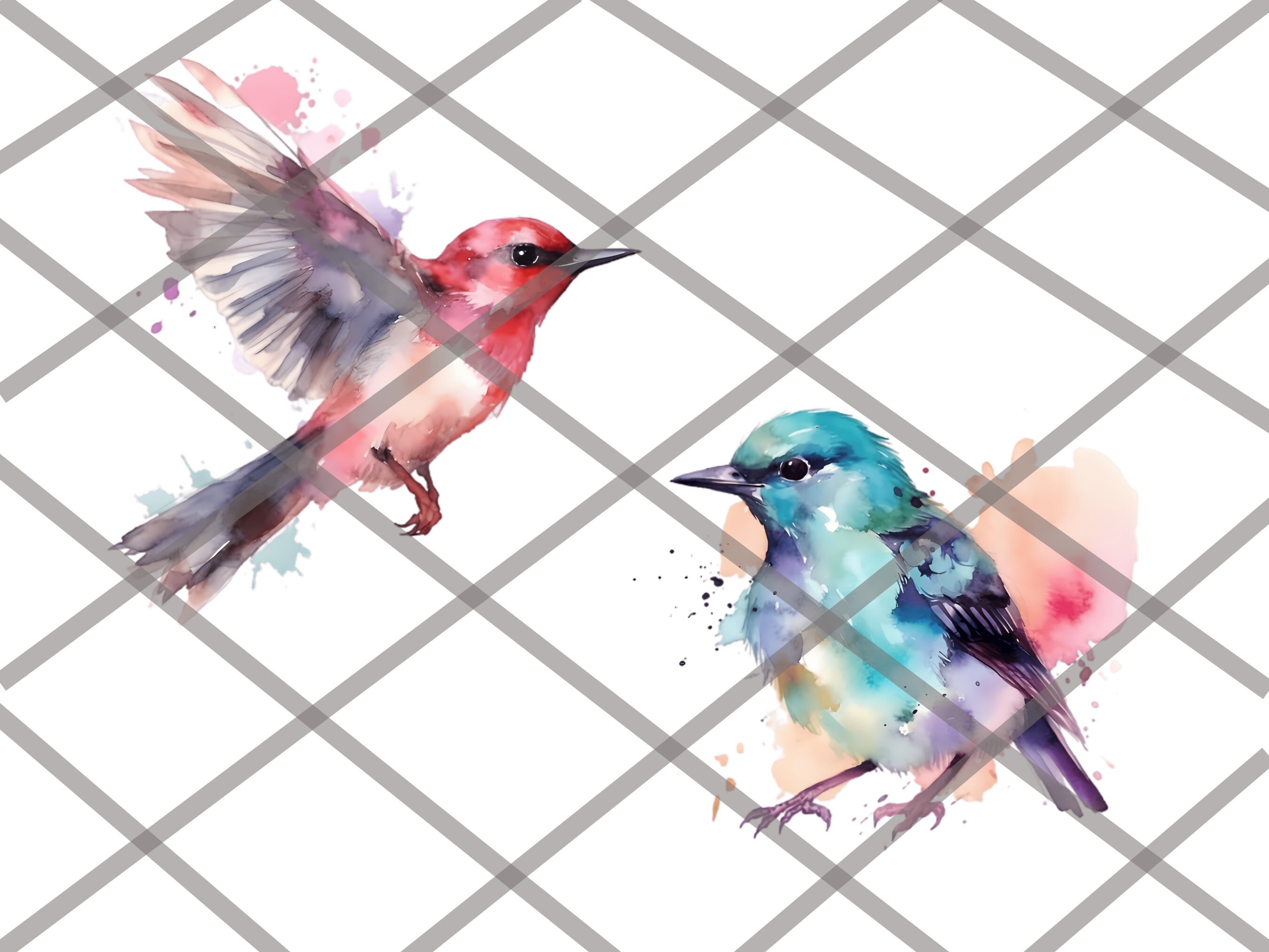 20 Watercolor Birds Clipart, Clipart Pack, Digital Art Collection ...