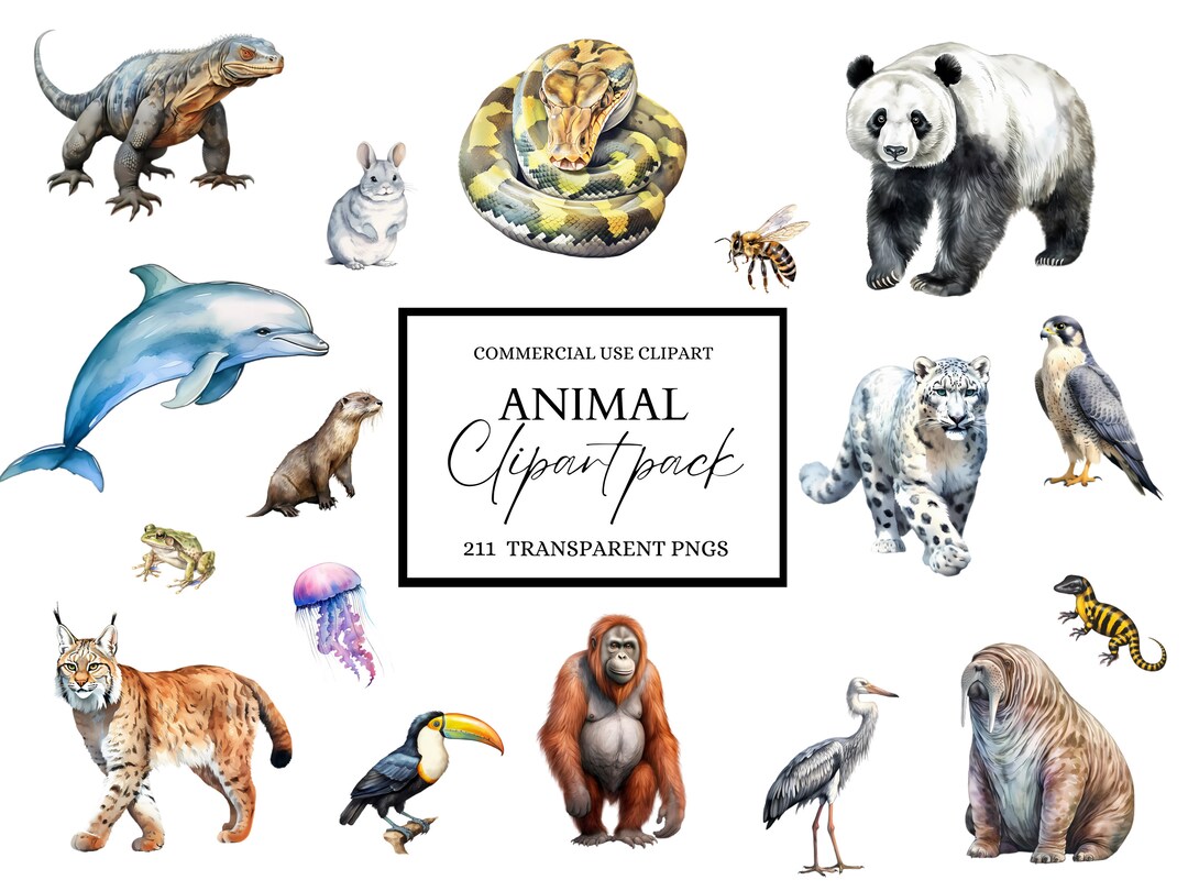 211 Animal Clipart Watercolor Animal Clipart Pack Animal - Etsy