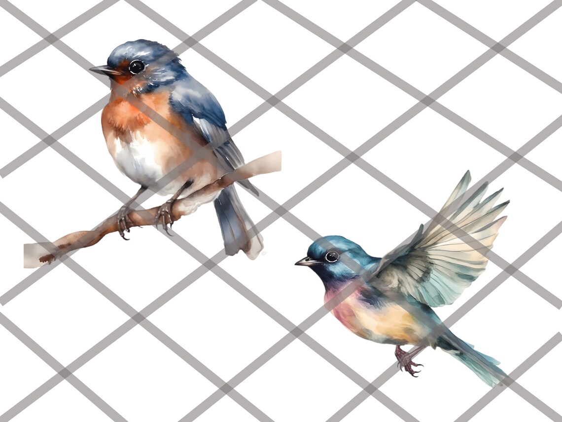 20 Watercolor Birds Clipart, Clipart Pack, Digital Art Collection ...