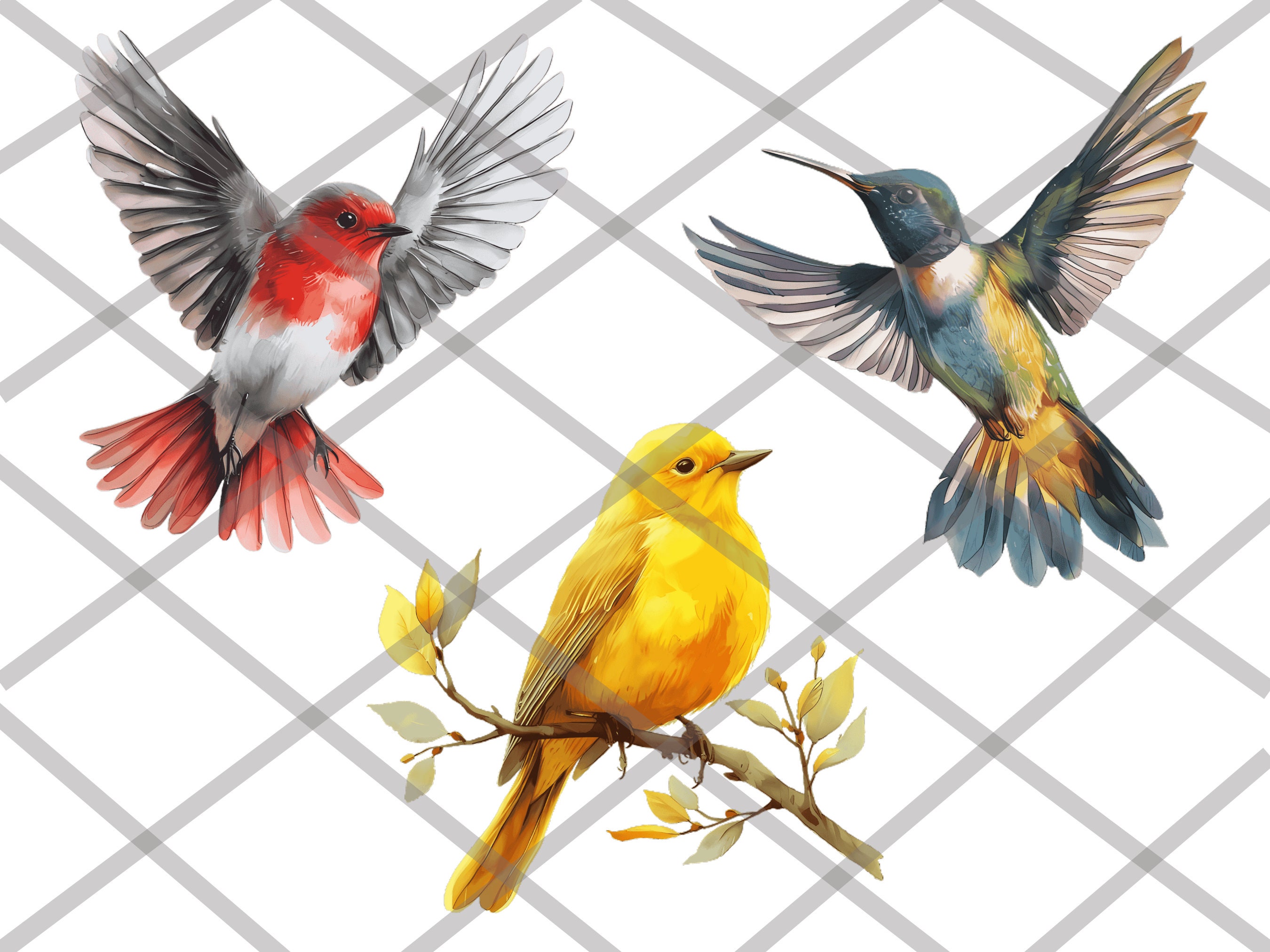 25 Watercolor Birds Clipart, Clipart Pack, Digital Art Collection ...