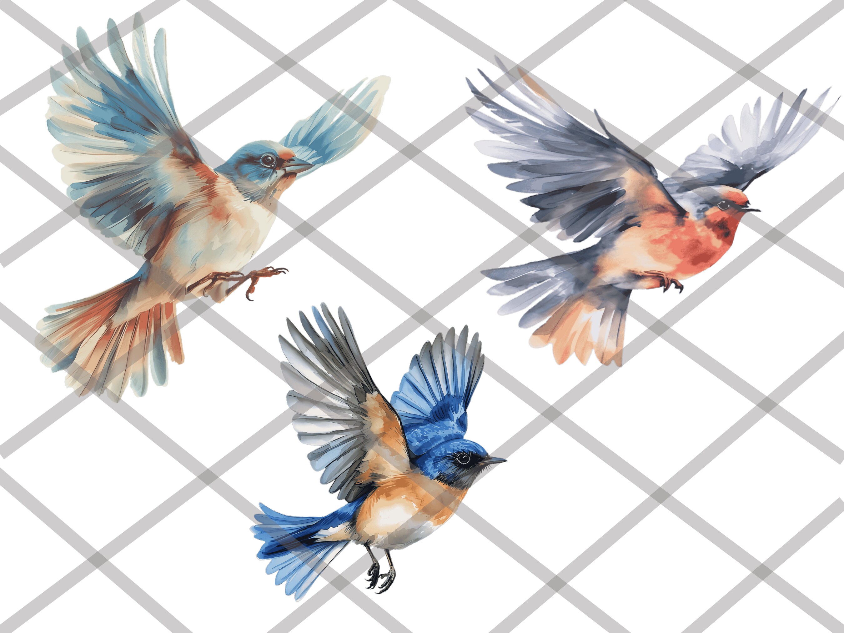 25 Watercolor Birds Clipart, Clipart Pack, Digital Art Collection ...