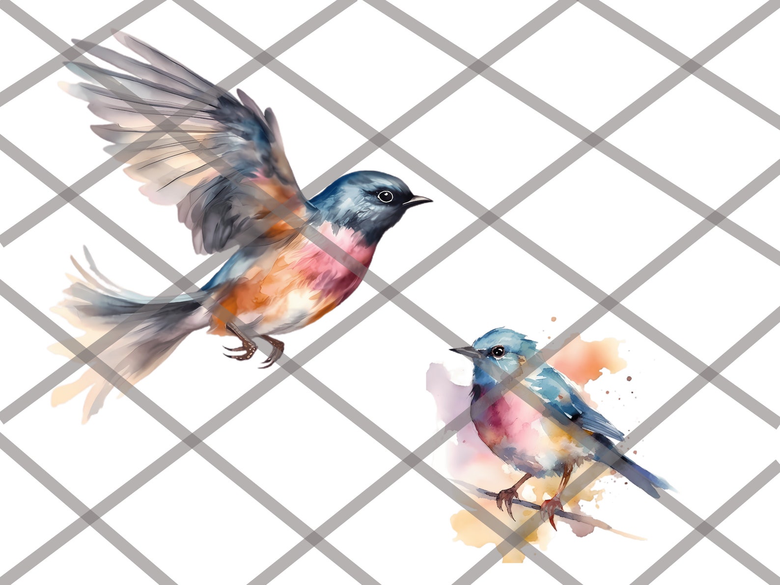 20 Watercolor Birds Clipart, Clipart Pack, Digital Art Collection ...