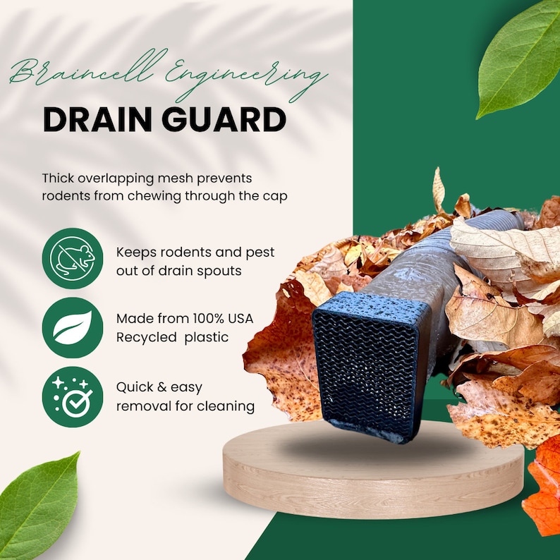 Downspout Drain Guard for Rodents & Pests - Etsy