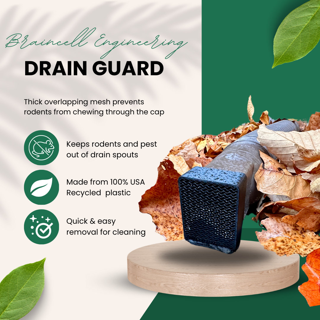 Downspout Drain Guard for Rodents & Pests - Etsy