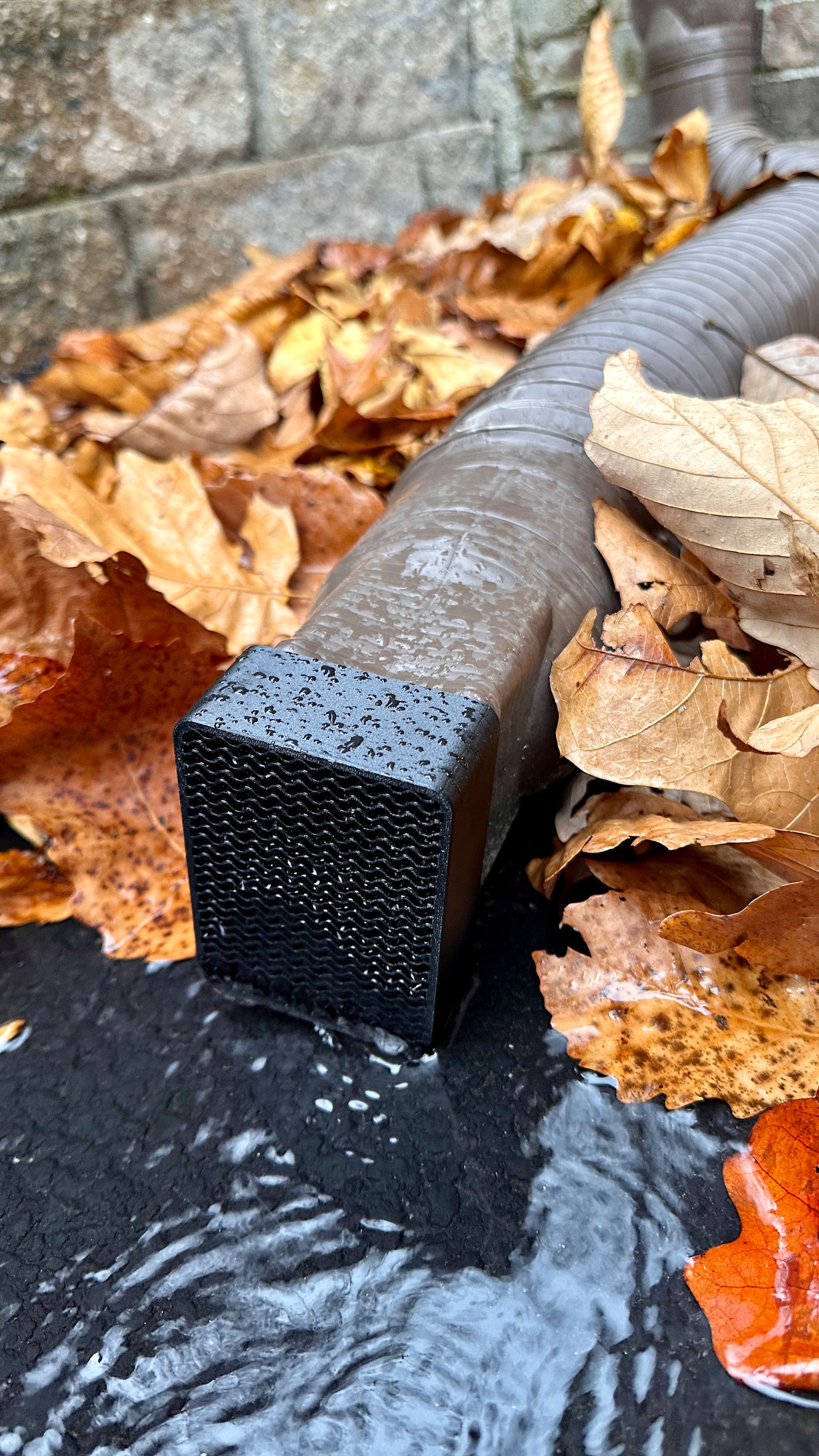 Downspout Drain Guard for Rodents & Pests - Etsy