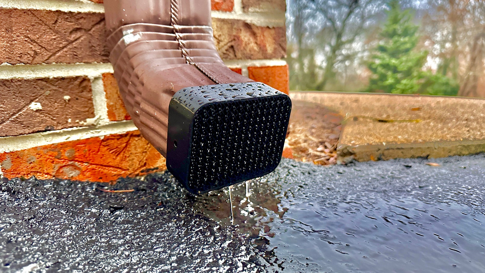 Downspout Drain Guard for Rodents & Pests - Etsy