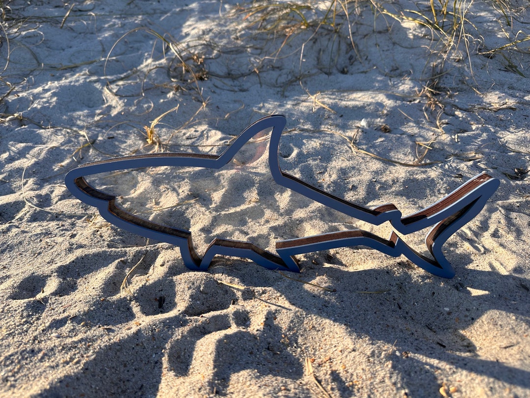 Shark Tooth Shadow Box - Etsy