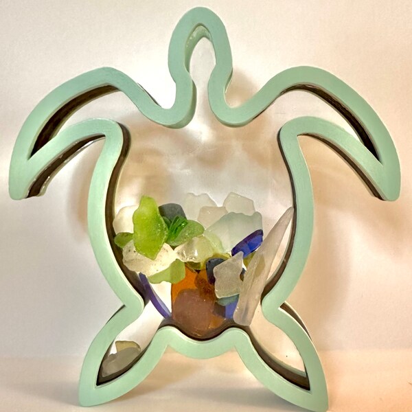 Shell Shadow Box - Etsy