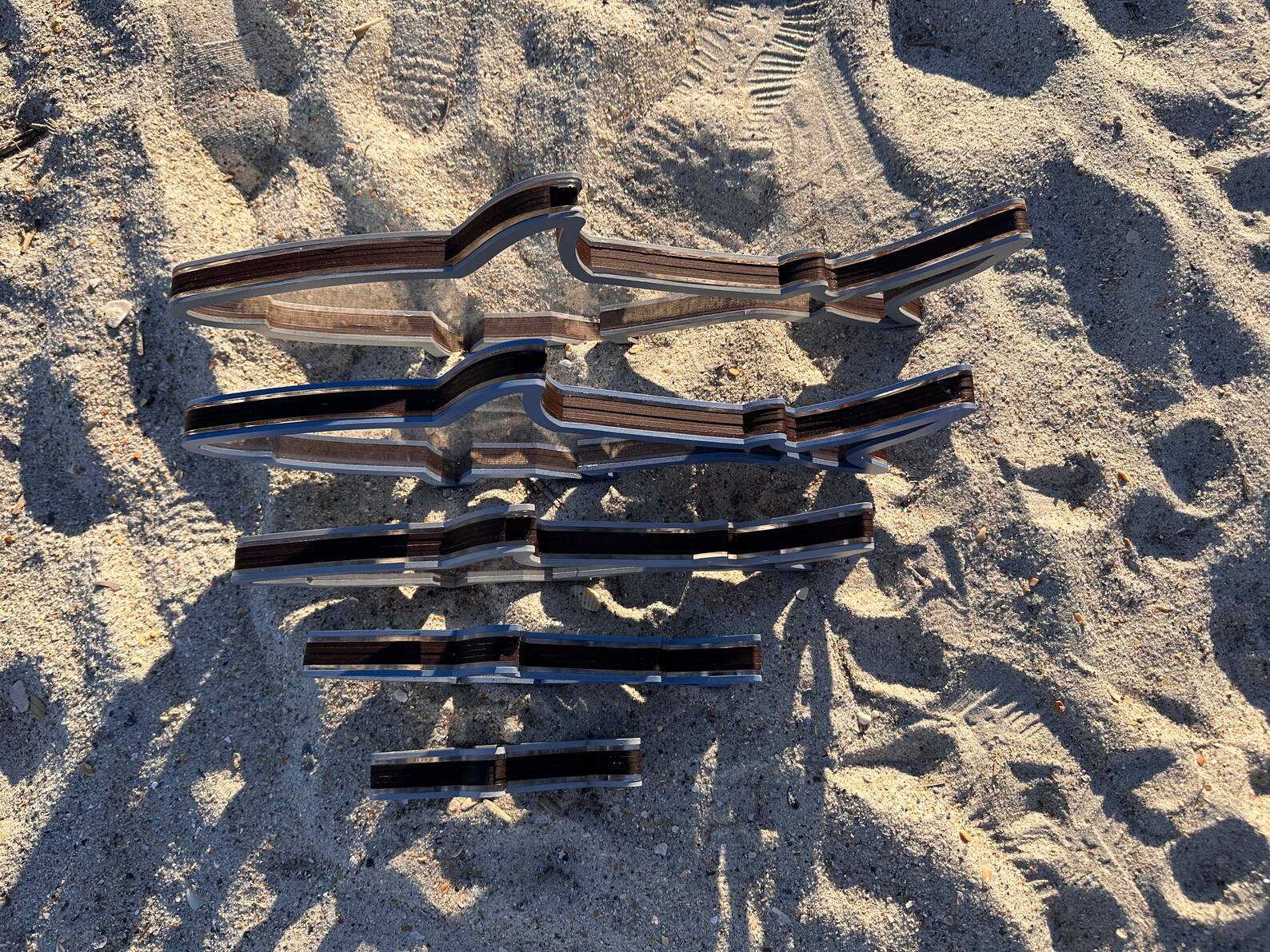 Shark Tooth Shadow Box - Etsy