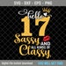 Hello 17 Sassy and All Kinds of Classy, It's My 17th Birthday Svg, 17 ...